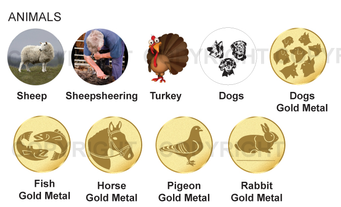 Animal-set – NZ Trophies