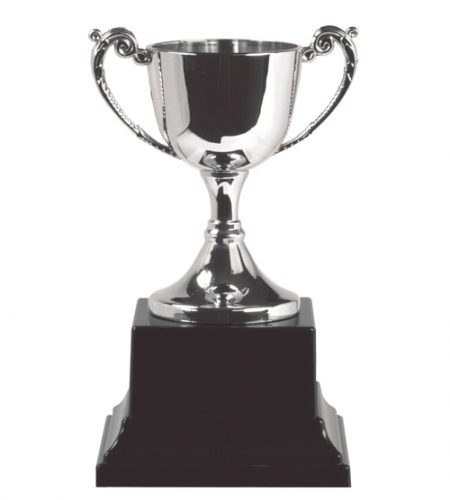 Miniature Trophy Cups – NZ Trophies