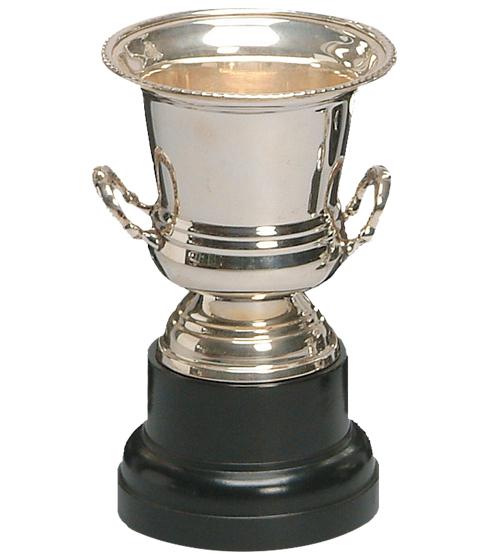 Classic Trophy Cups – NZ Trophies
