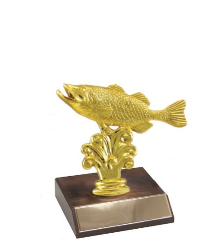 Fishing – NZ Trophies