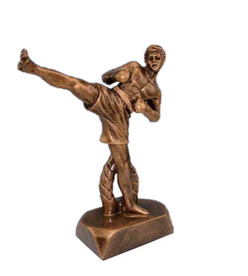 Kickboxer Male – NZ Trophies