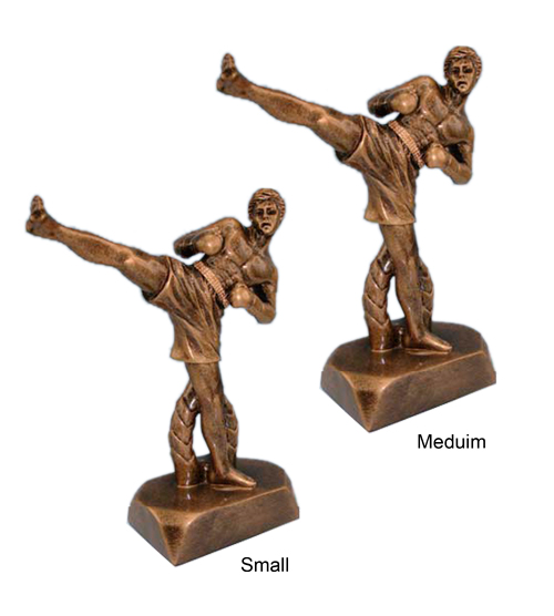 Kickboxer Male – NZ Trophies