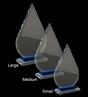Duke Glass Award – NZ Trophies