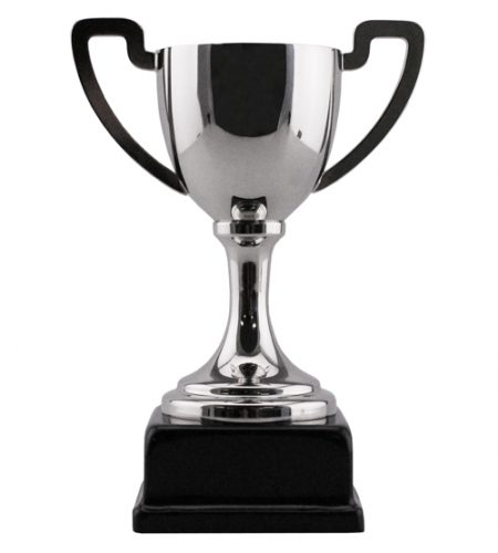 Miniature Trophy Cups – NZ Trophies