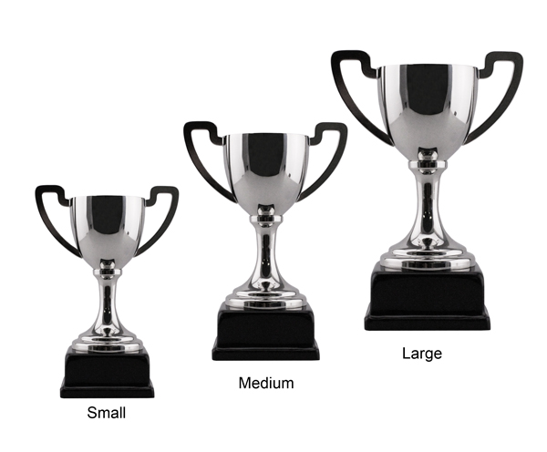 Modern Series Mini Cup – NZ Trophies