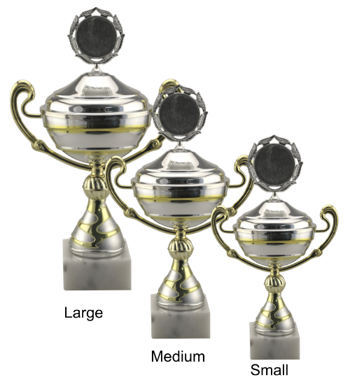 Arundel Trophy – NZ Trophies