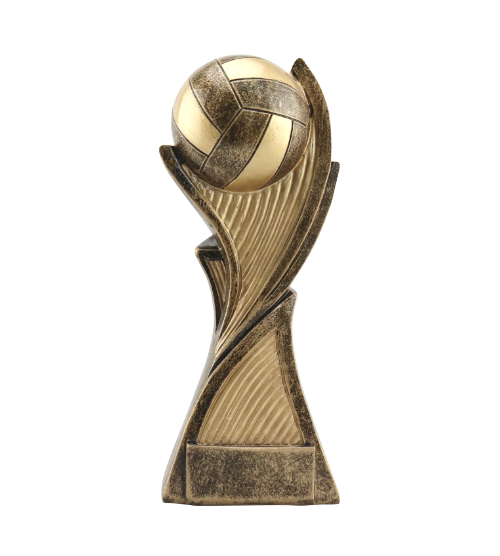 Vanguard Netball Trophy – NZ Trophies