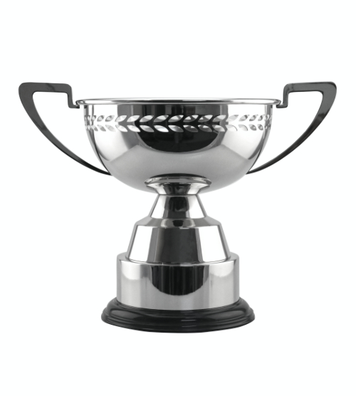 Premium Trophy Cups – NZ Trophies